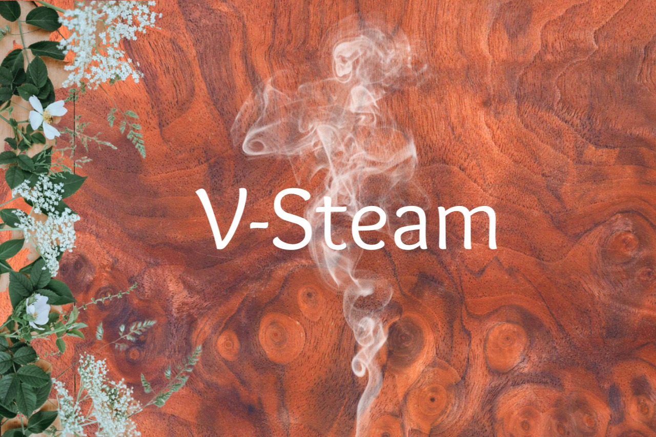 V-Steam Hydrotherapy - Wombaya